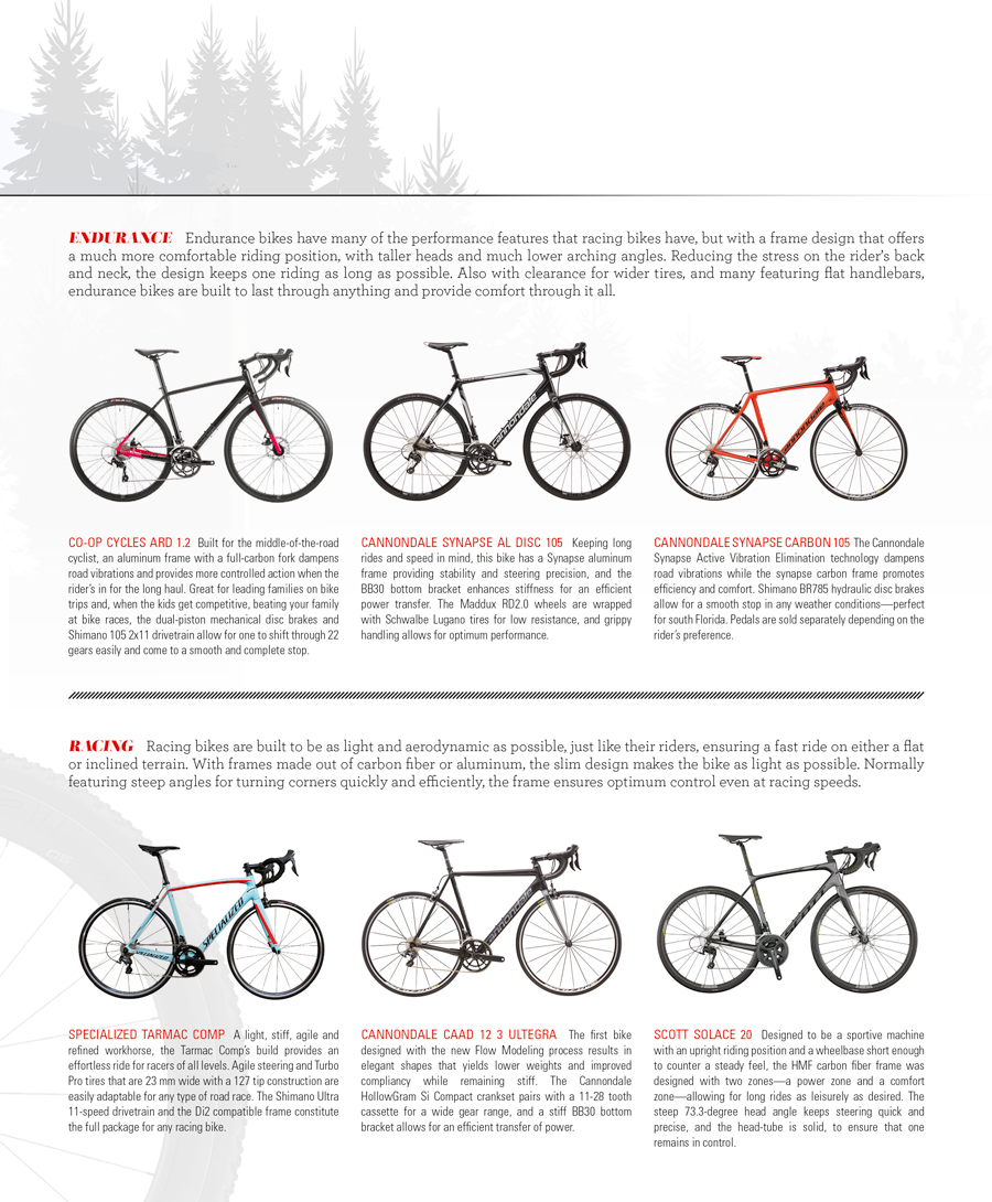 Cycleology - Feature :: SRQ Magazine Article by Gabrielle Holliday